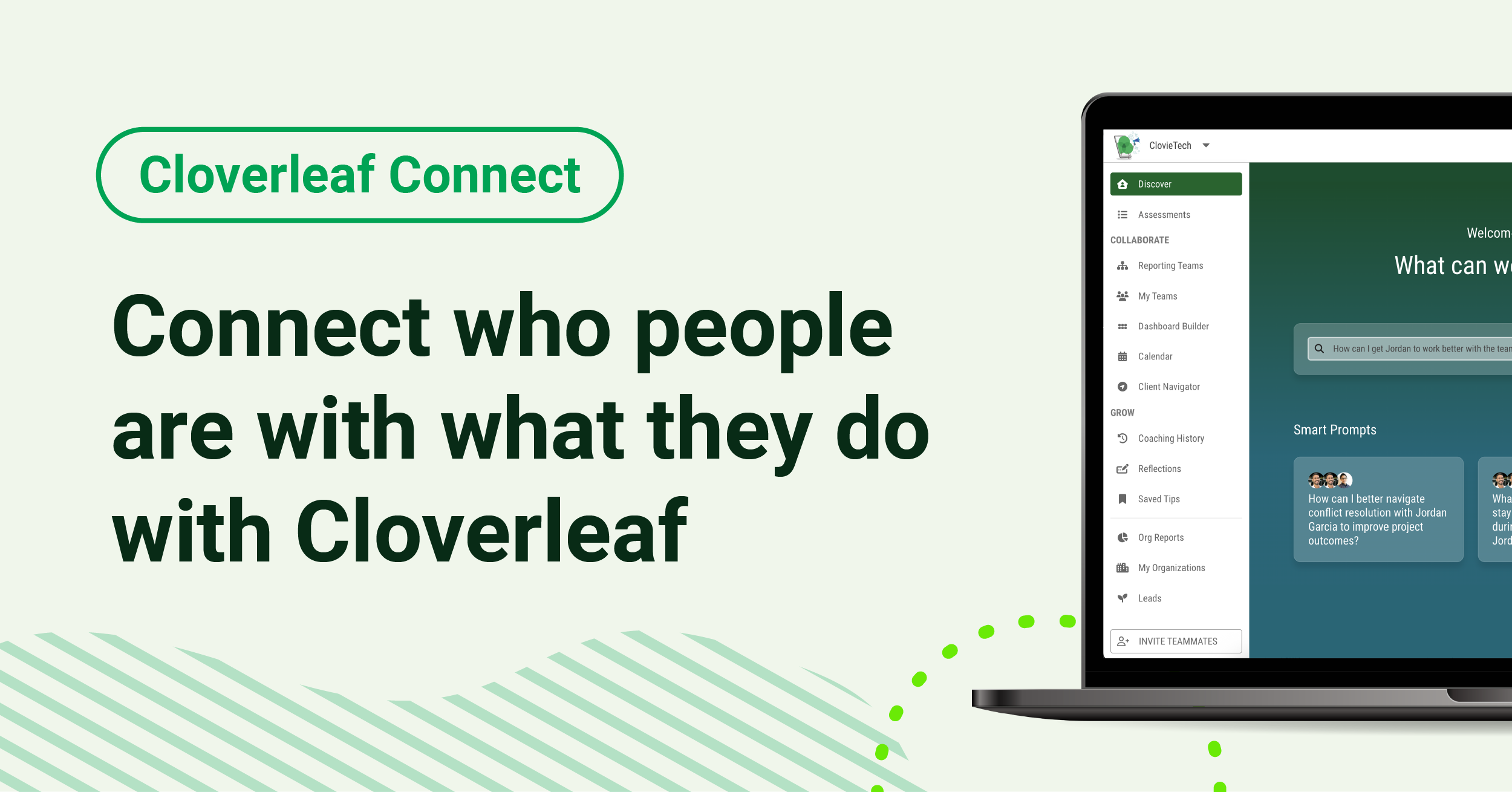 Cloverleaf Connect | Turn Talent Data Into Behavior Change